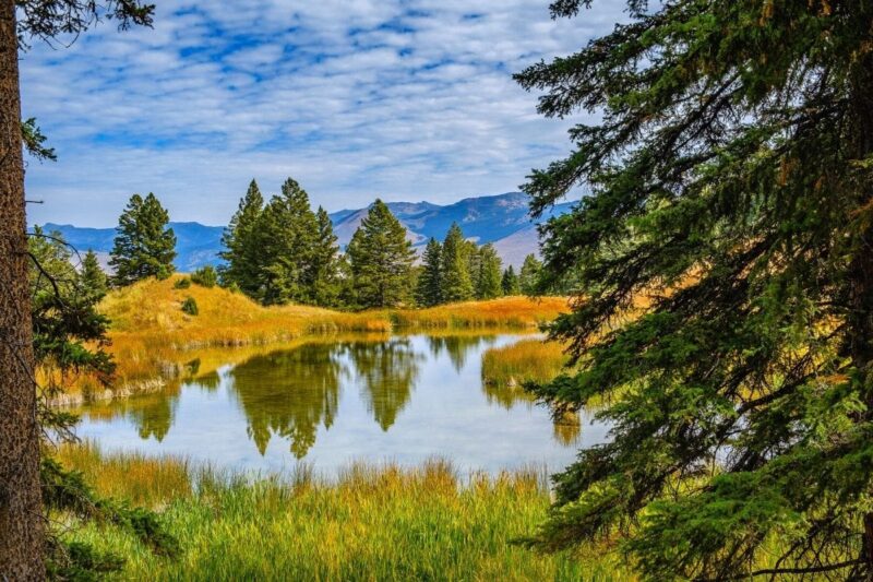 17 Spectacular Day Hikes in Yellowstone National Park
