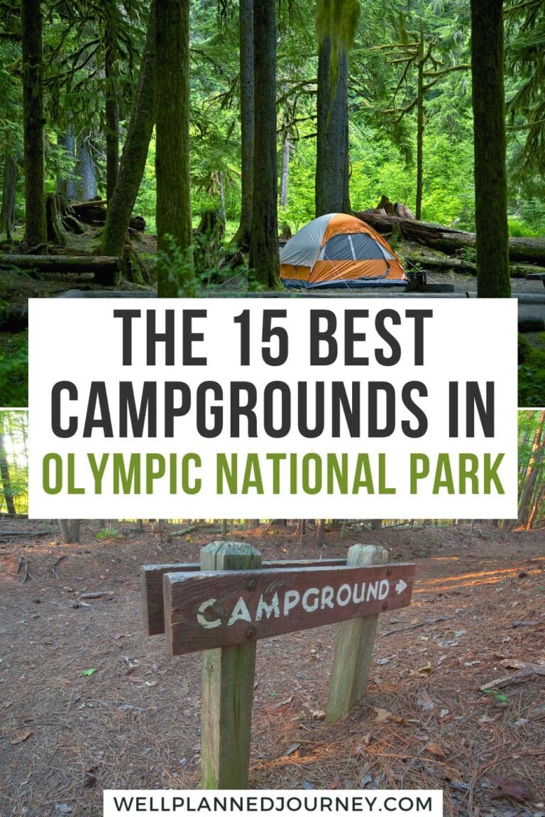 15 Best Campgrounds in Olympic National Park