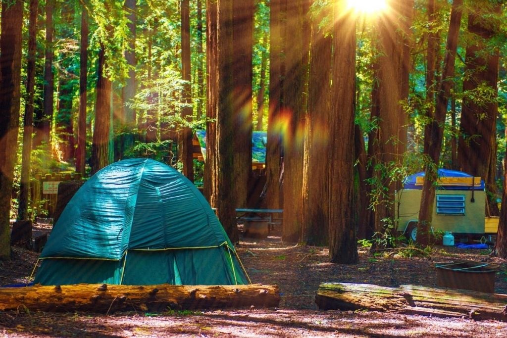 7 Spots for the Best Camping in Kings Canyon National Park