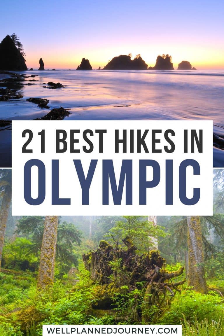 21 Best Olympic National Park Hikes You Must Do