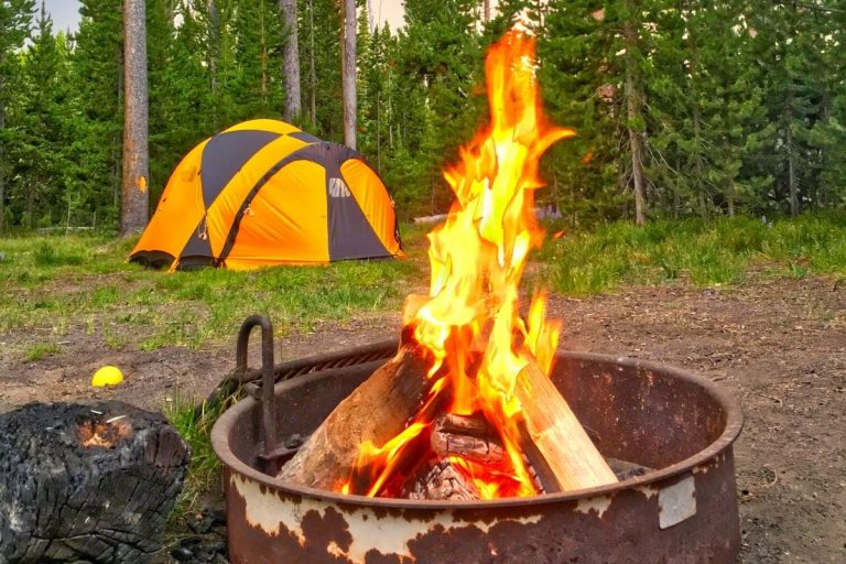 12 Best Campgrounds in Yellowstone National Park