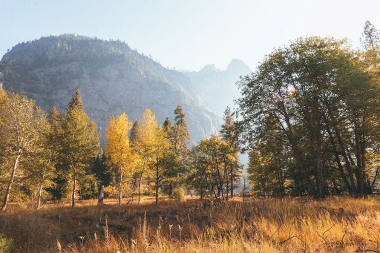 20 Best Yosemite Photography Spots You Need to See
