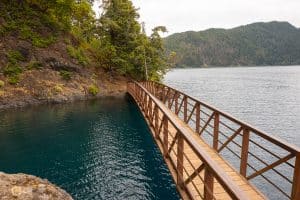 21 Best Olympic National Park Hikes You Must Do