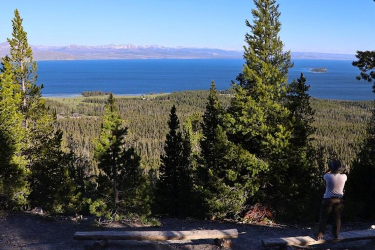 17 Spectacular Day Hikes in Yellowstone National Park