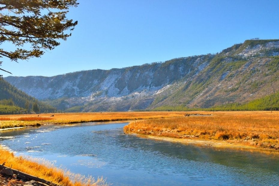 Best Time to Visit Yellowstone National Park: A Season-by-Season Guide