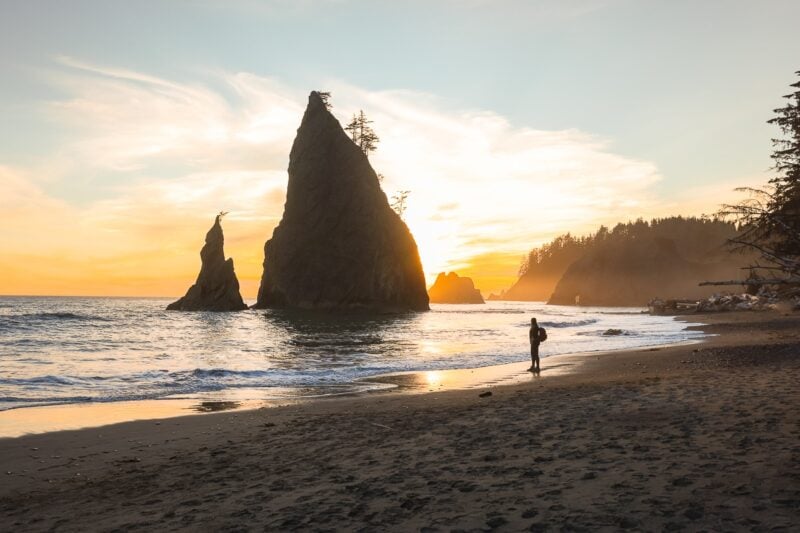 21 Best Olympic National Park Hikes You Must Do