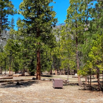 7 Spots for the Best Camping in Kings Canyon National Park