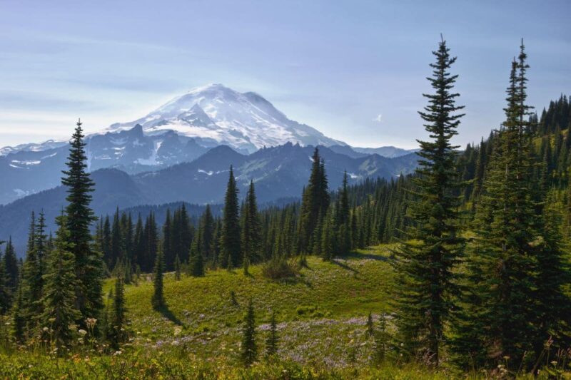 25 Best Hikes In Mount Rainier National Park