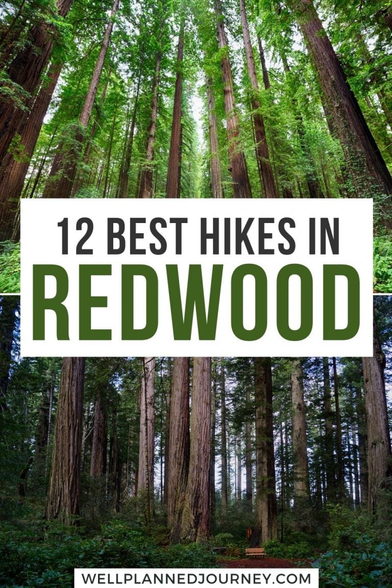 12 Best Hikes in Redwood National Park You Must Do