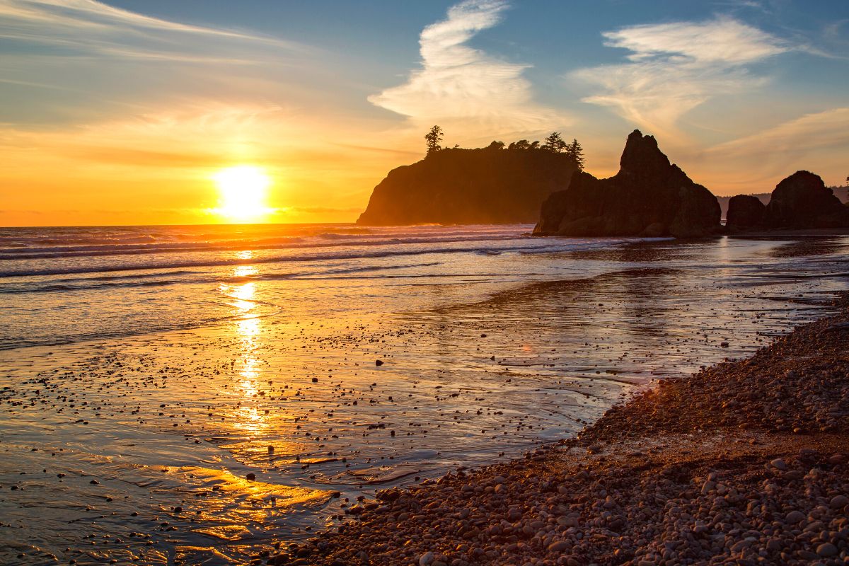 21 Best Olympic National Park Hikes You Must Do