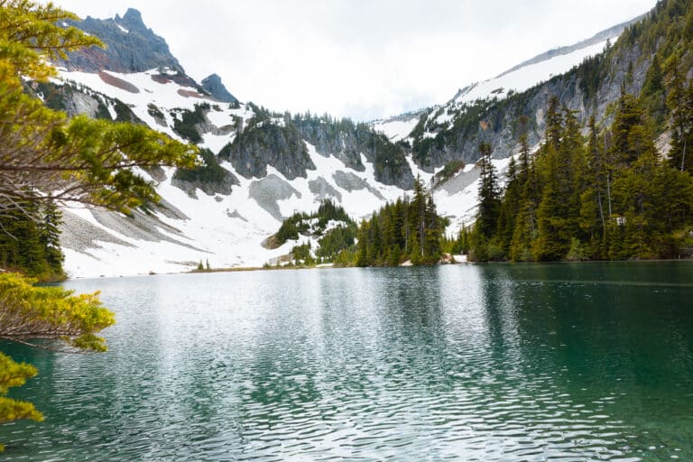 The Perfect Seattle to Mount Rainier National Park Day Trip