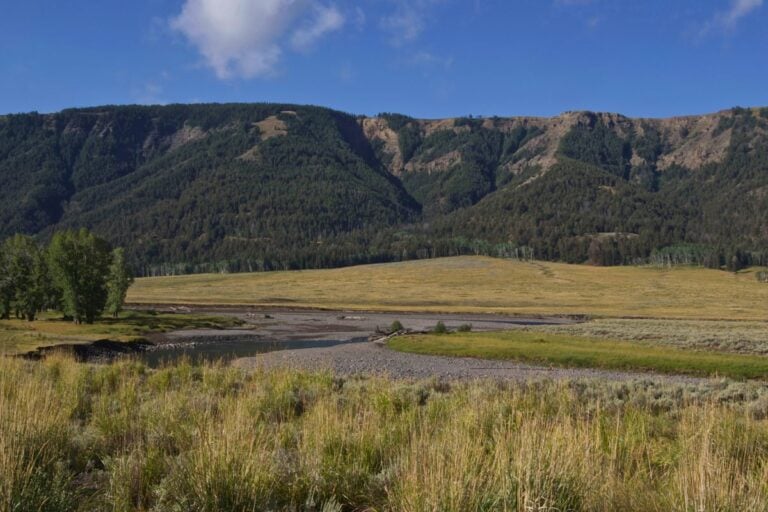 17 Spectacular Day Hikes in Yellowstone National Park