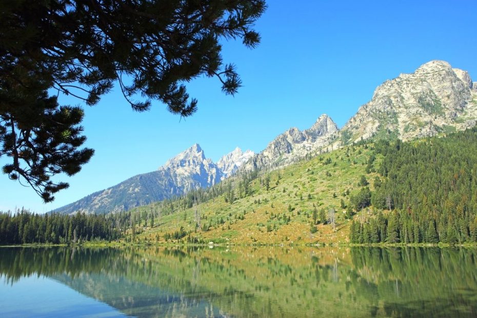 18 Best Hikes in Grand Teton National Park