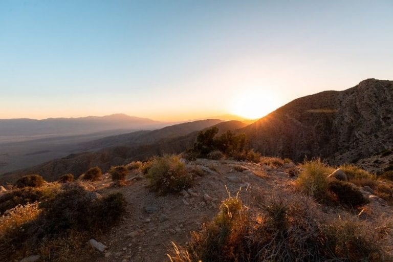 Best One Day in Joshua Tree National Park Itinerary