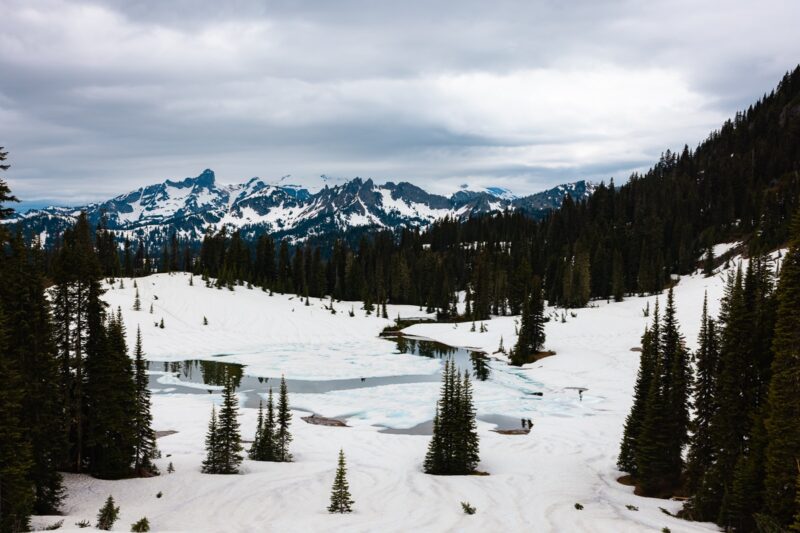 The Perfect Seattle to Mount Rainier National Park Day Trip