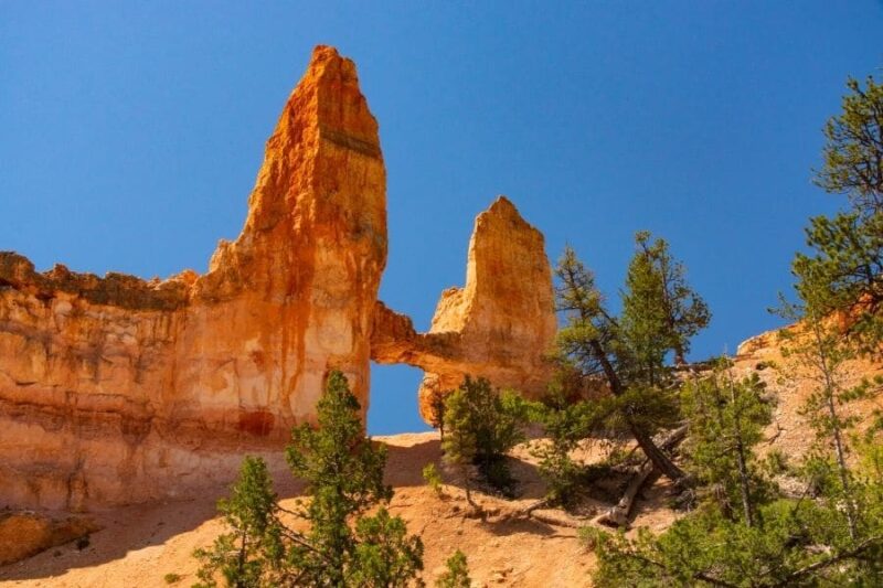 12 Best Bryce Canyon Hikes You Absolutely Need to See