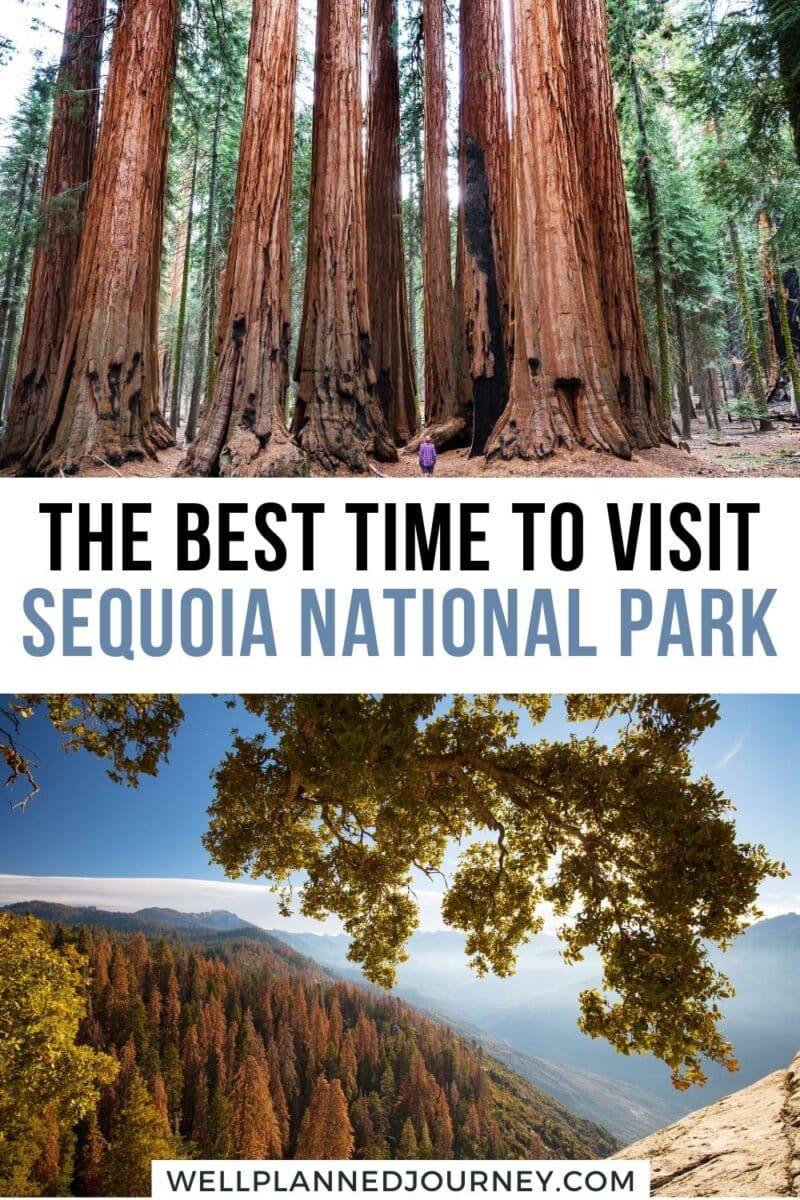 The Absolute Best Time to Visit Sequoia National Park