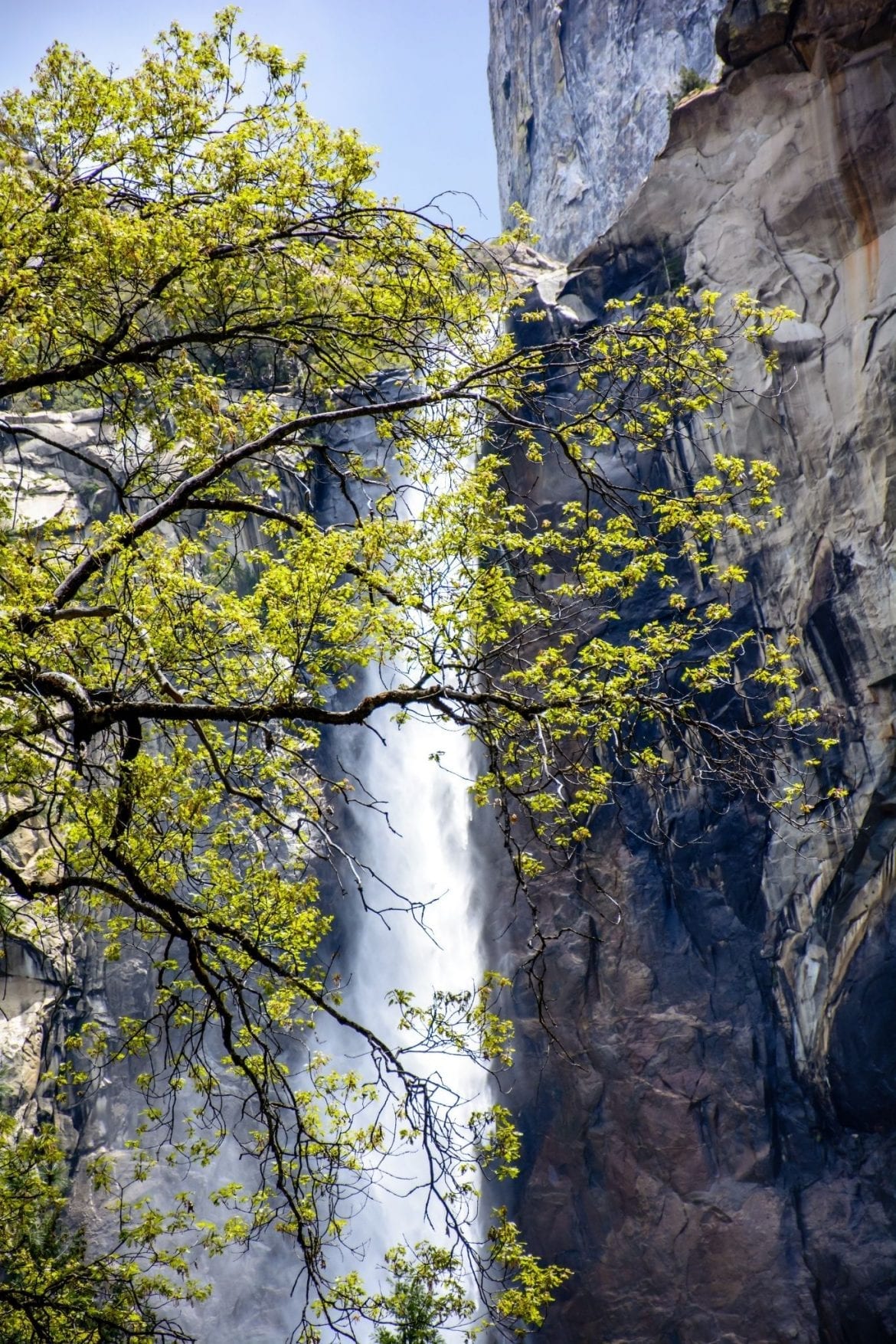 20 Best Yosemite Photography Spots You Need to See